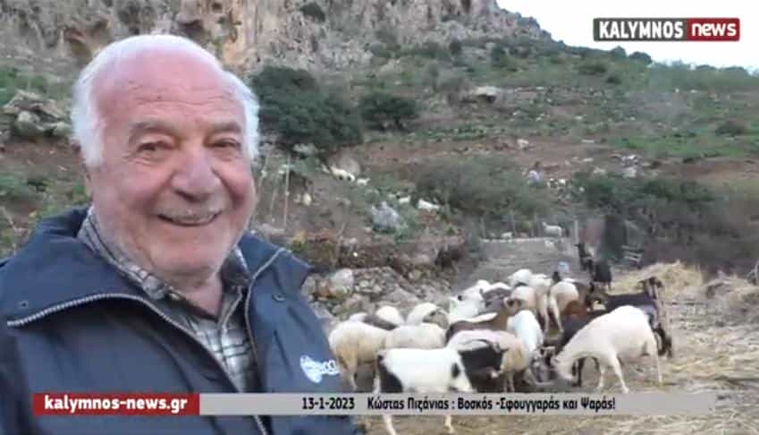 Κώστας Πιζάνιας: Βοσκός, Σφουγγαράς και ψαράς! (video) - kalymnos-news.gr